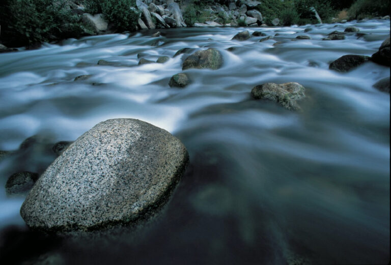 About – Feather River Action!