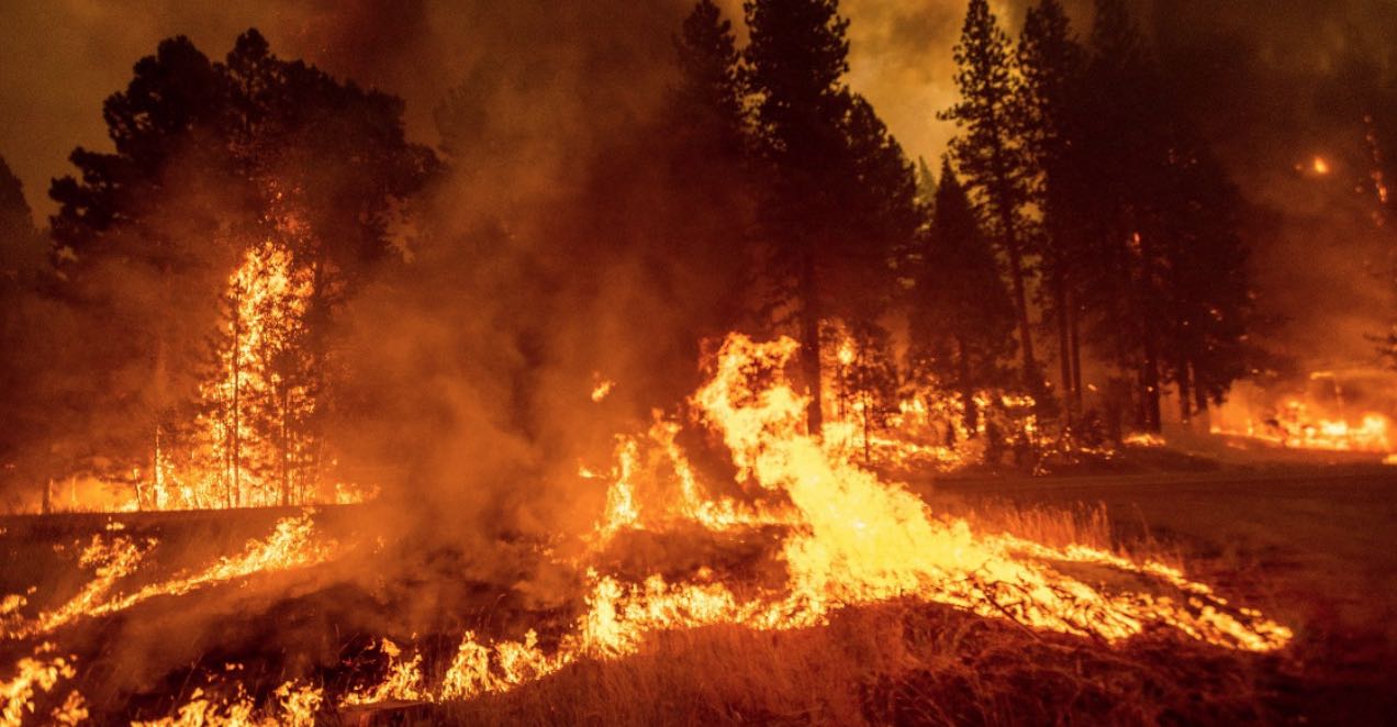 We Love You, Greenville – Feather River Action!