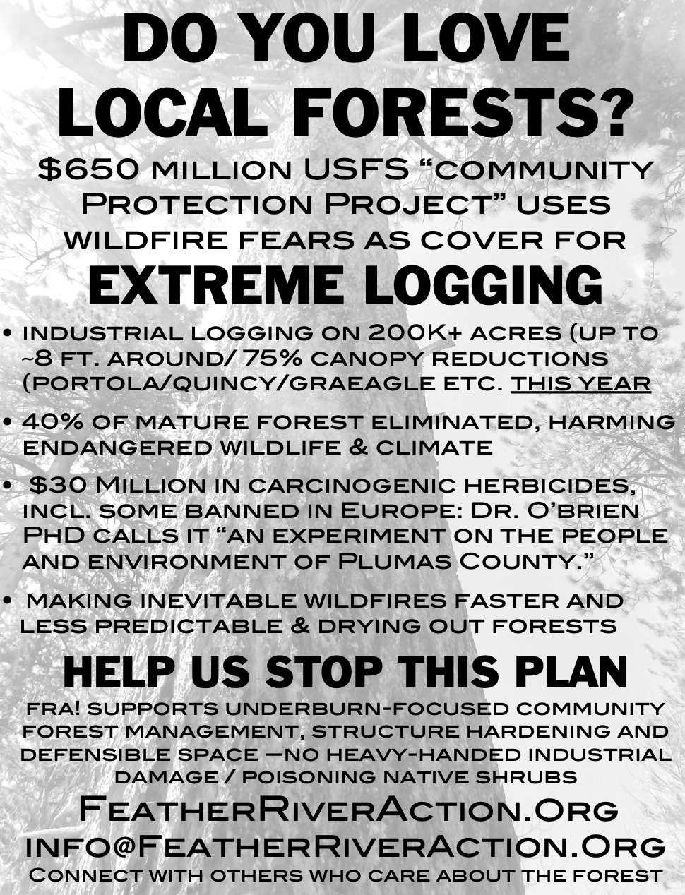 US Forest Service / Logging – Feather River Action!