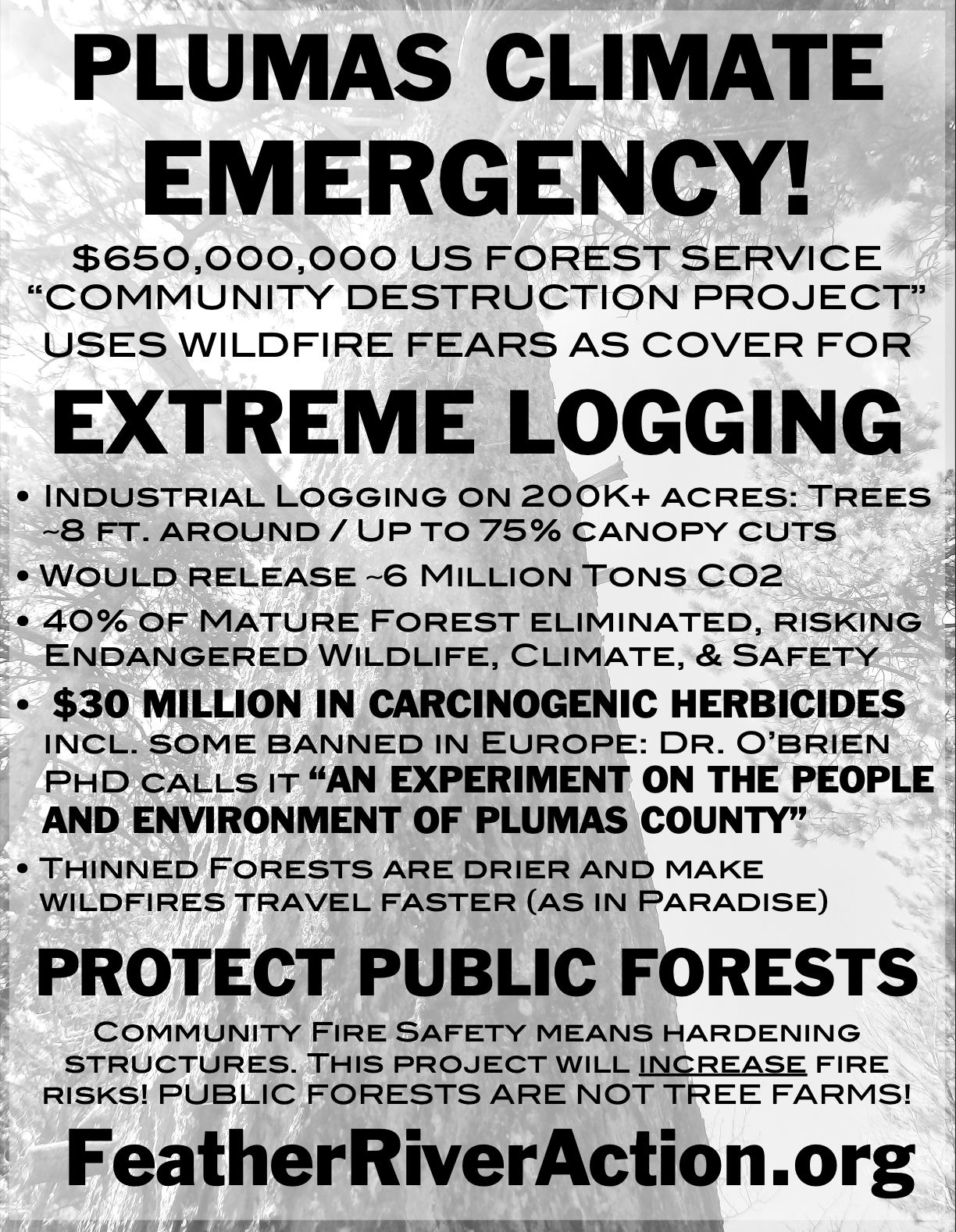 Feather River Action! – Defending the Feather River region from harm ...