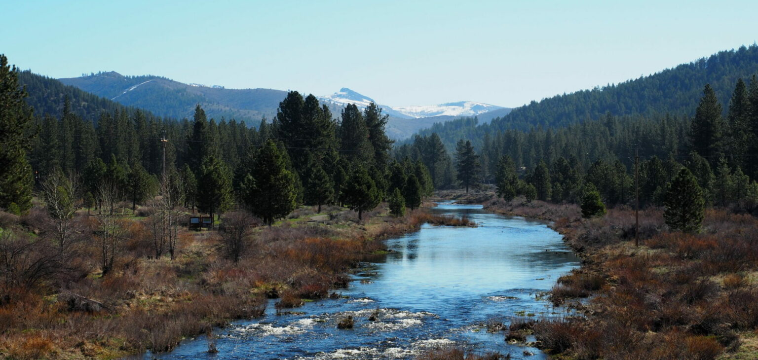 Emergency Mobilization to Protect Plumas National Forest – Feather ...