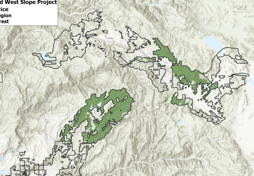 US Forest Service / Logging – Feather River Action!